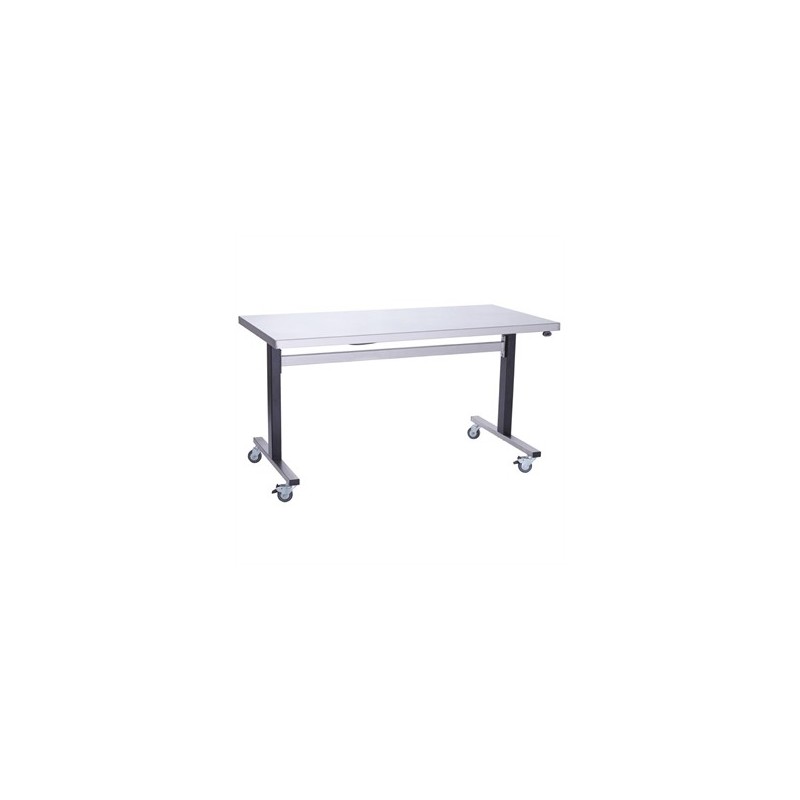Parry Stainless Steel Adjustable Height Table Wide Electric Static ...